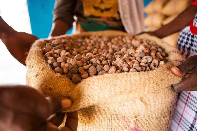 Best Shea Butter Products for Soft, Healthy Skin – Cozy Farm